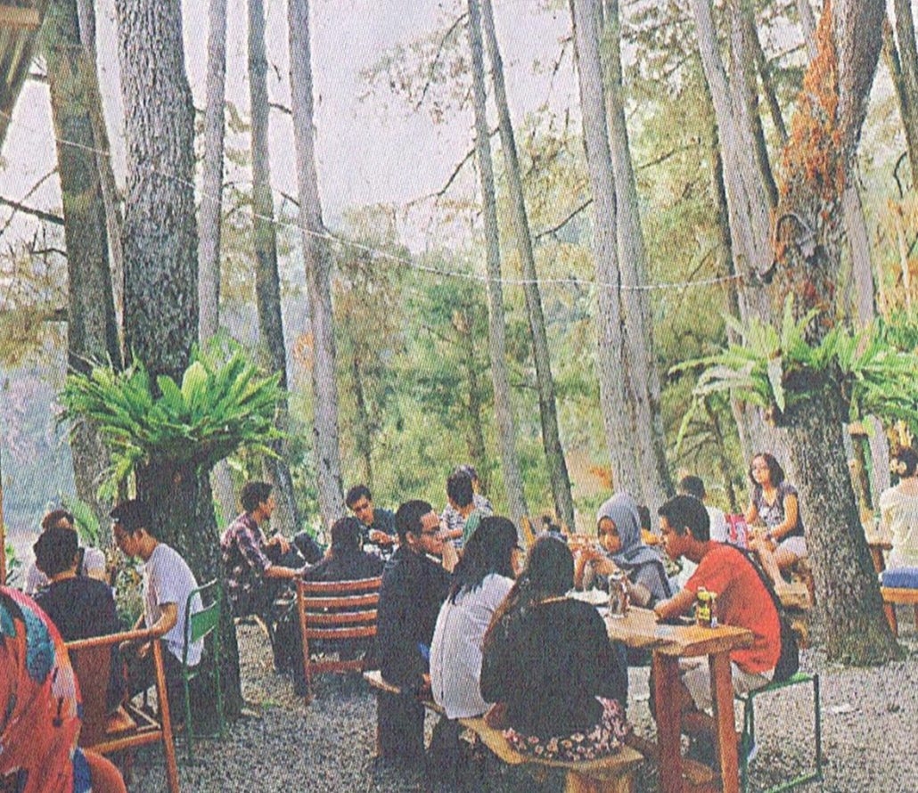 Coffee, Light Meals, and Pine Trees - Library