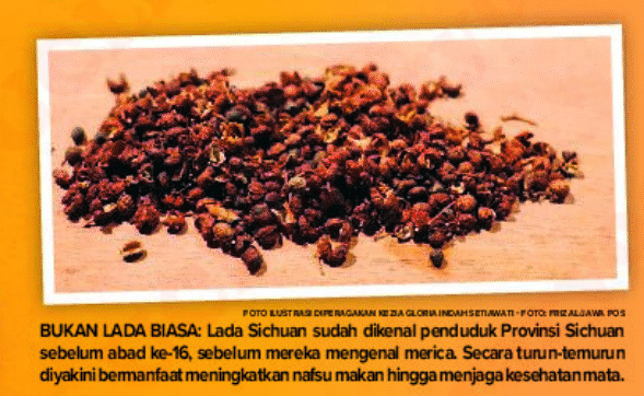 Keajaiban Lada Sichuan. Rahasia di Balik Sensasi "Mati Rasa" pada Lidah ...