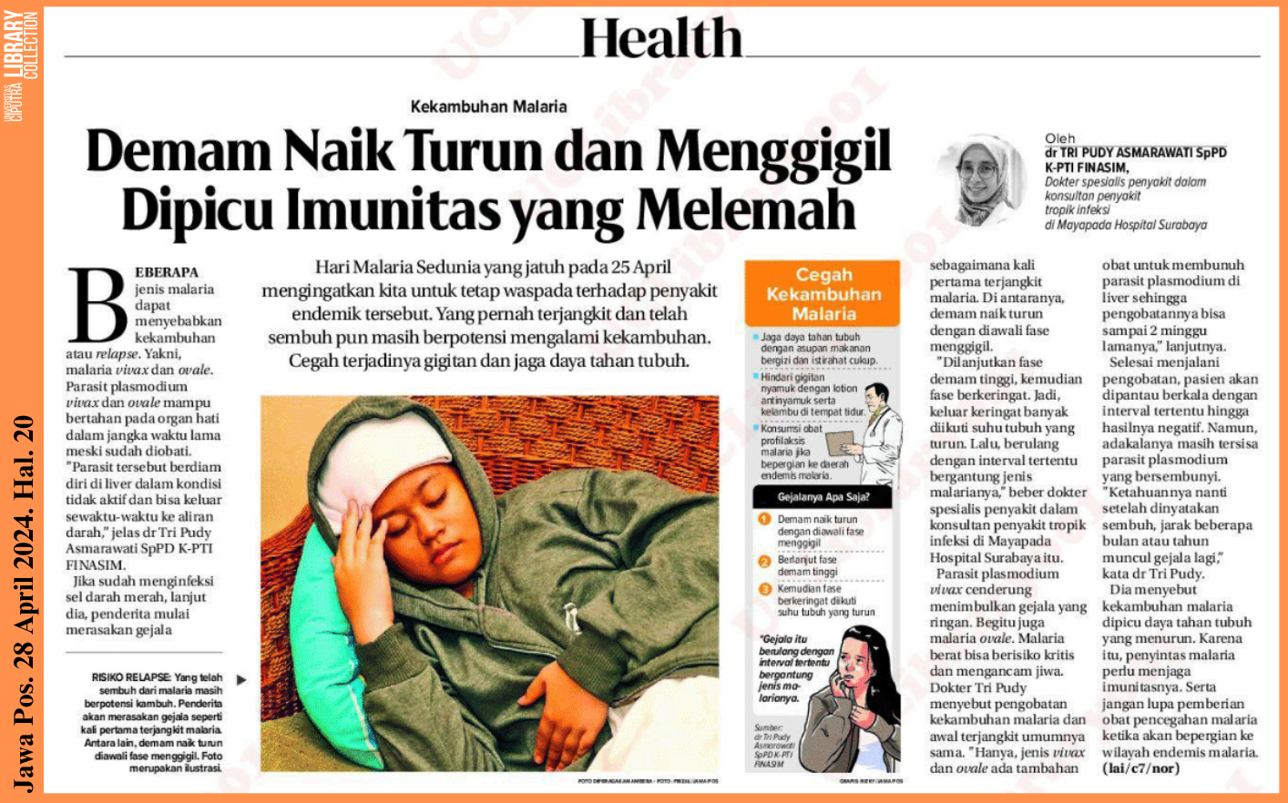 Kekambuhan Malaria. Demam Naik Turun dan Menggigil Dipicu Imunitas yang ...