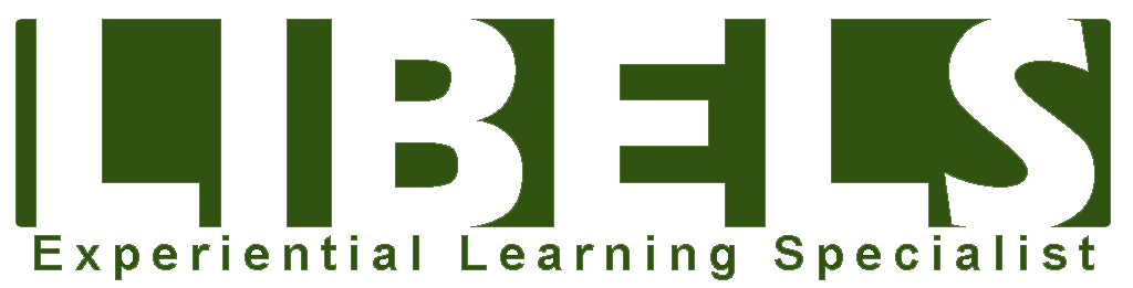 Wawan Wongso, Jatuh Hati pada Psikologi Industri-Organisasi ...